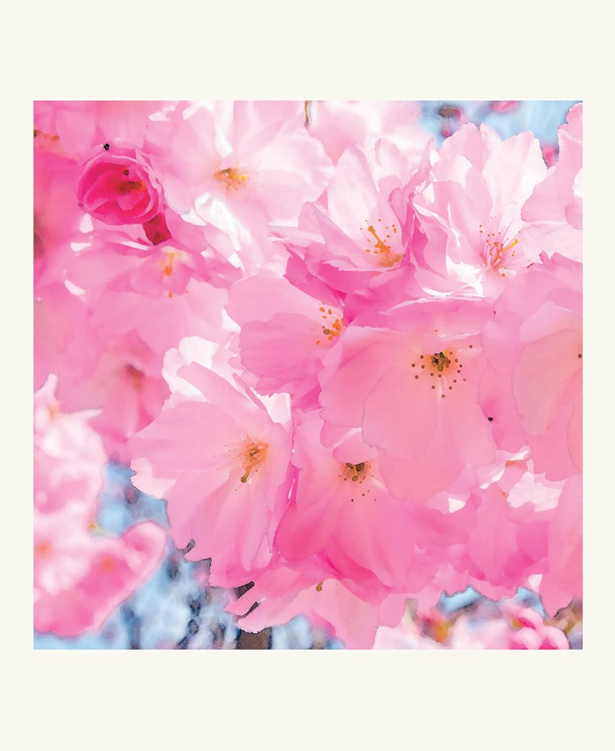 Cherry Blossom Art 16 Note Cards, 16 Different Blank Cards with ...