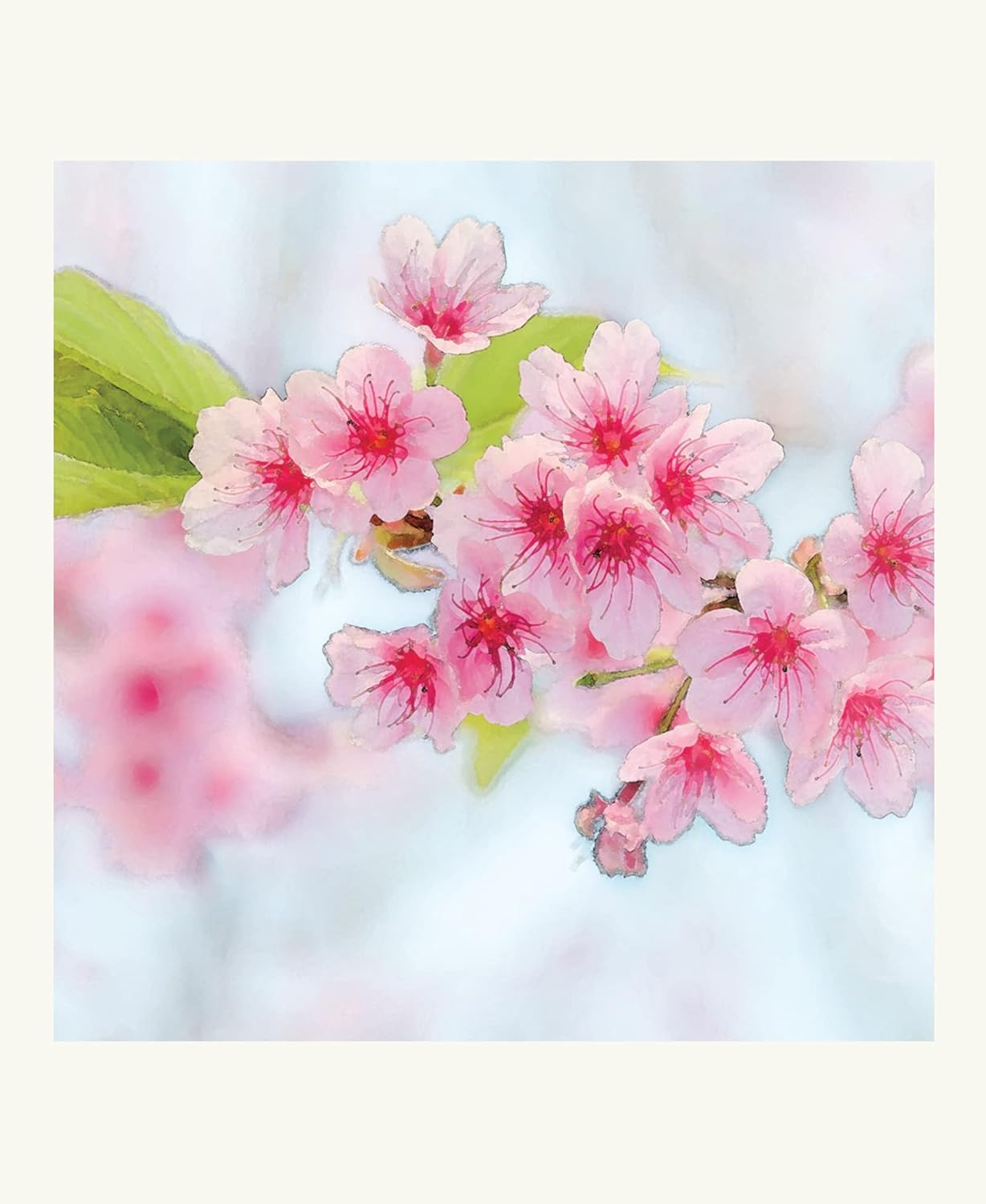 Cherry Blossom Art 16 Note Cards, 16 Different Blank Cards with ...