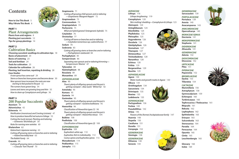 Growing Succulents, A Pictorial Guide to Planting and Design (Over ...