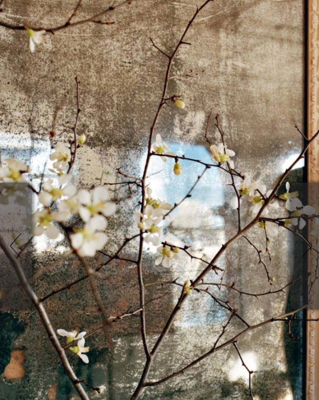 Houses : Atelier AM by Alexandra Misczynski | 9780847865055 | Booktopia