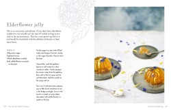 Booktopia - The Art of Edible Flowers, Recipes and Ideas for Floral ...