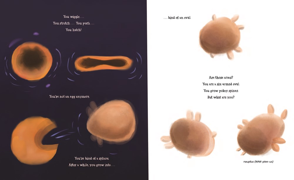 Good Eating, The Short Life of Krill by Matt Lilley | 9780884488675 ...