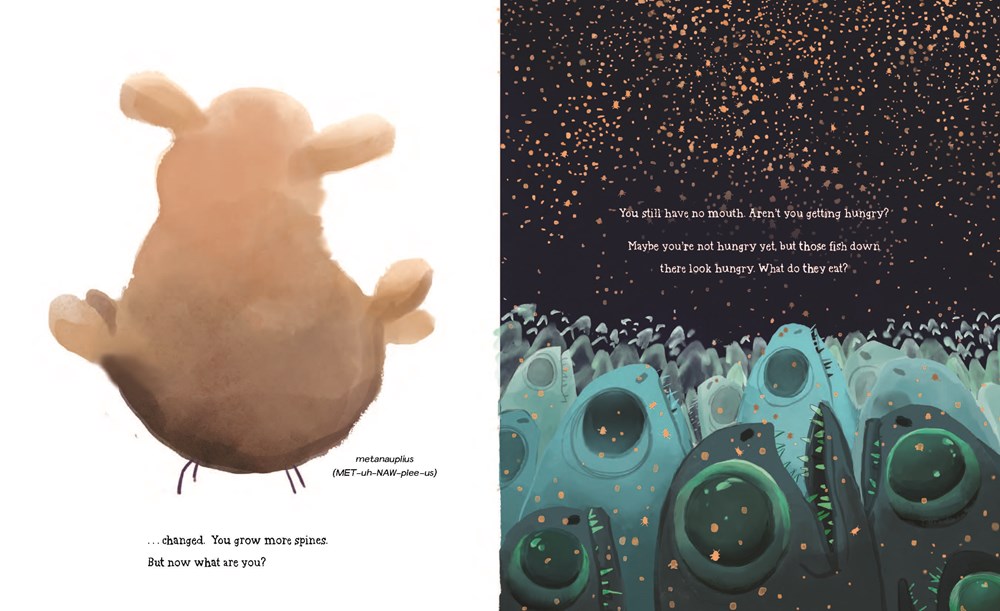 Good Eating, The Short Life of Krill by Matt Lilley | 9780884488675 ...