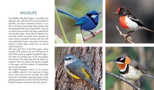 Booktopia - Perth, Fremantle & Rottnest by Simon Nevill, 9780975601969 ...