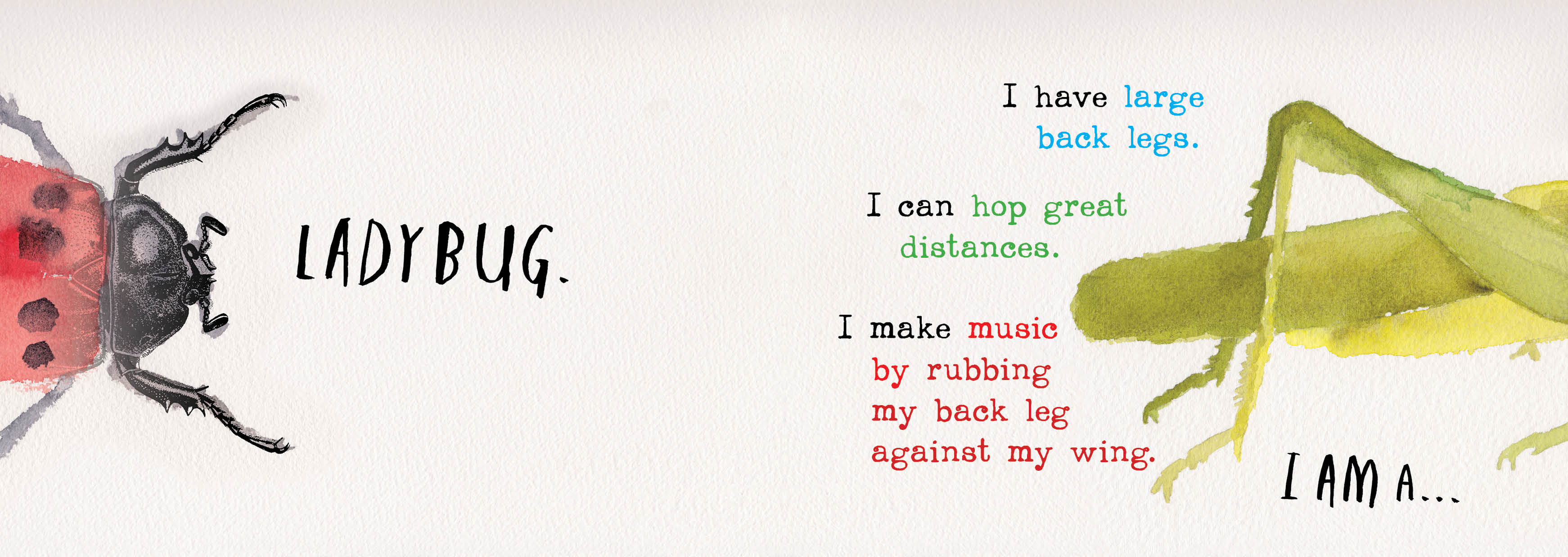 Heads and Tails : Insects, Honour Book in the Book of the Year for ...