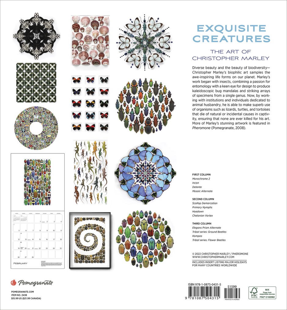 Exquisite Creatures: The Art of Christopher Marley - 2023 Wall Calendar ...