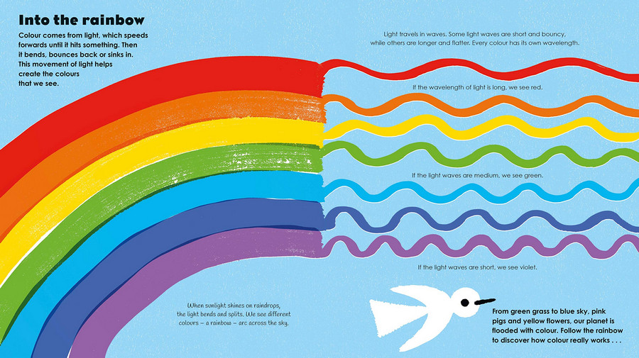 How Colour Works by Catherine Barr | 9781405292566 | Booktopia