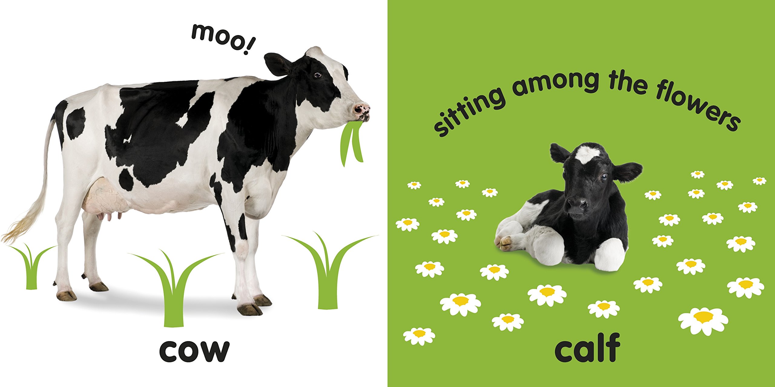 Baby Touch and Feel Farm Animals, Baby Touch and Feel by DK ...