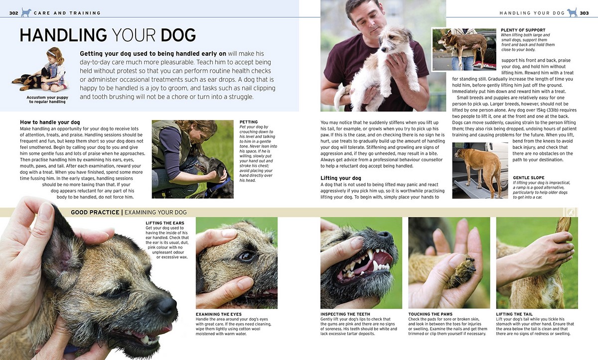 The Complete Dog Breed Guide Book by Dorling Kindersley | 9781405394666 ...