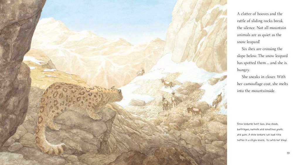 Snow Leopard, Grey Ghost of the Mountain by Justin Anderson ...