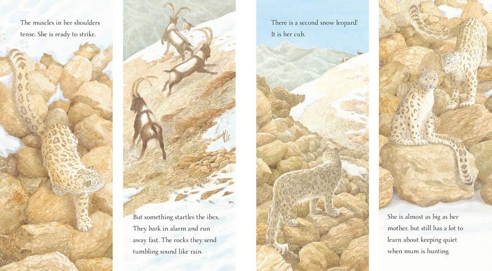 Snow Leopard, Grey Ghost of the Mountain by Justin Anderson ...