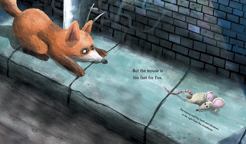 Fox in the Night : Science Storybooks, A Science Storybook About Light ...