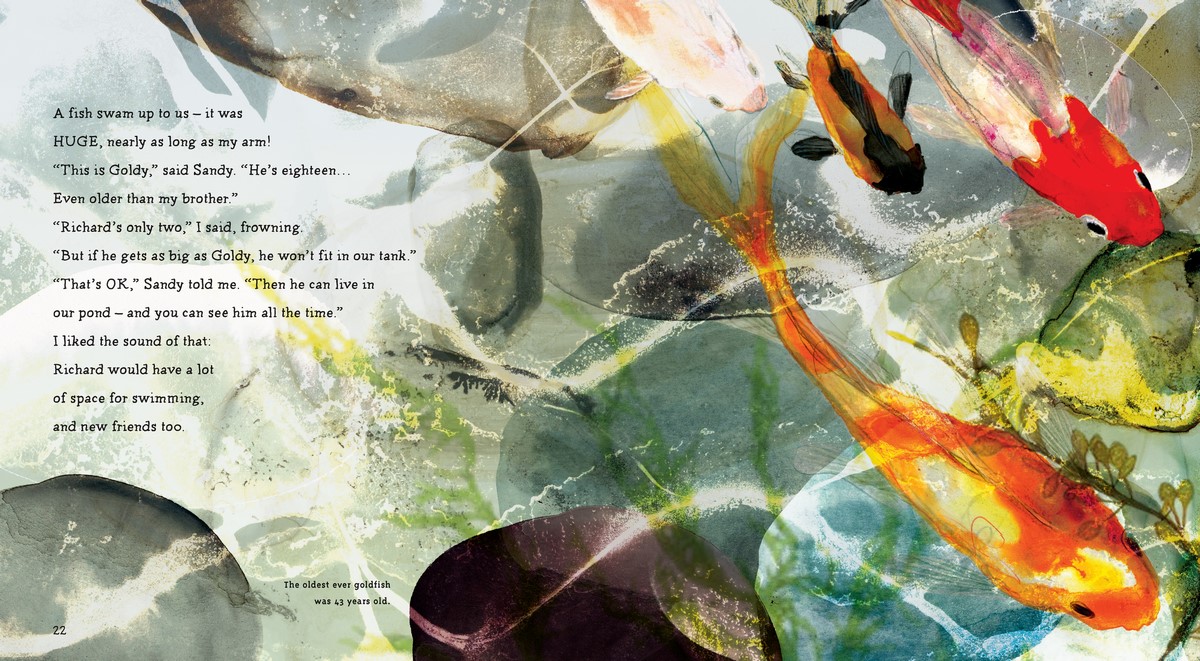 My Pet Goldfish by Catherine Rayner | 9781406385786 | Booktopia