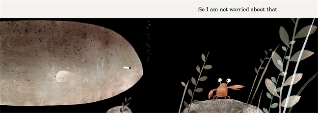 This Is Not My Hat by Jon Klassen | 9781406390735 | Booktopia