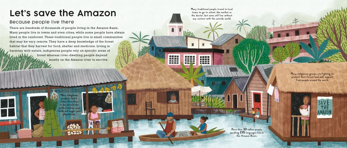 Let's Save the Amazon, Why we must protect our planet by Catherine Barr ...