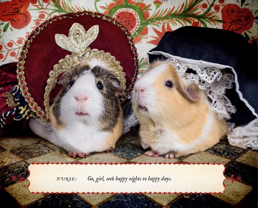 A Guinea Pig Romeo & Juliet, Guinea Pig Classics by William Shakespeare ...