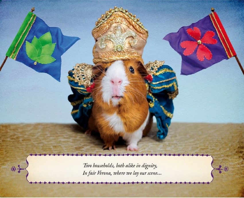 A Guinea Pig Romeo & Juliet, Guinea Pig Classics by William Shakespeare ...