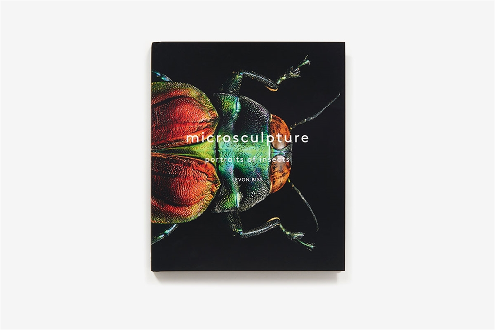 Microsculpture, Portraits of Insects by Levon Biss | 9781419726958 ...