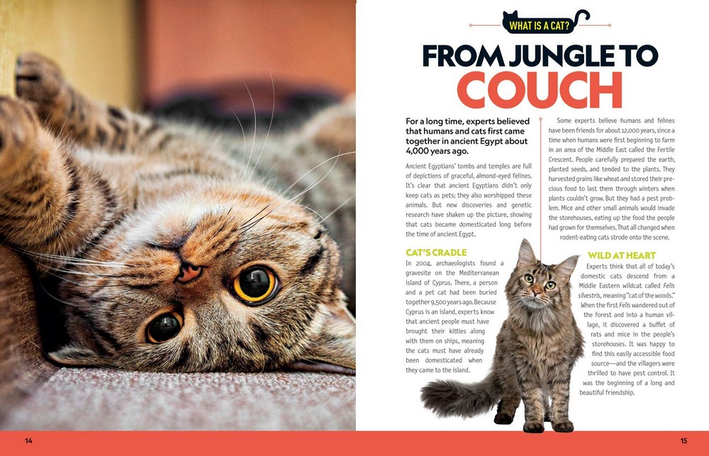 Cat Breed Guide, Complete Reference to Your Purr-Fect Best Friend by ...