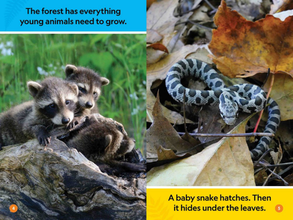 National Geographic Readers Forest Babies (Pre-Reader), Forest Babies ...