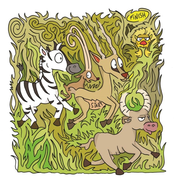 A-Maze-Ing Animals, 50 Mazes for Kids by Joe Wos | 9781438009940 ...