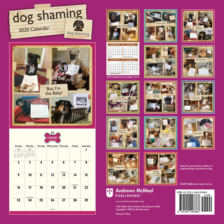 Dog Shaming - 2020 Wall Calendar, The best of canine shame fame by ...