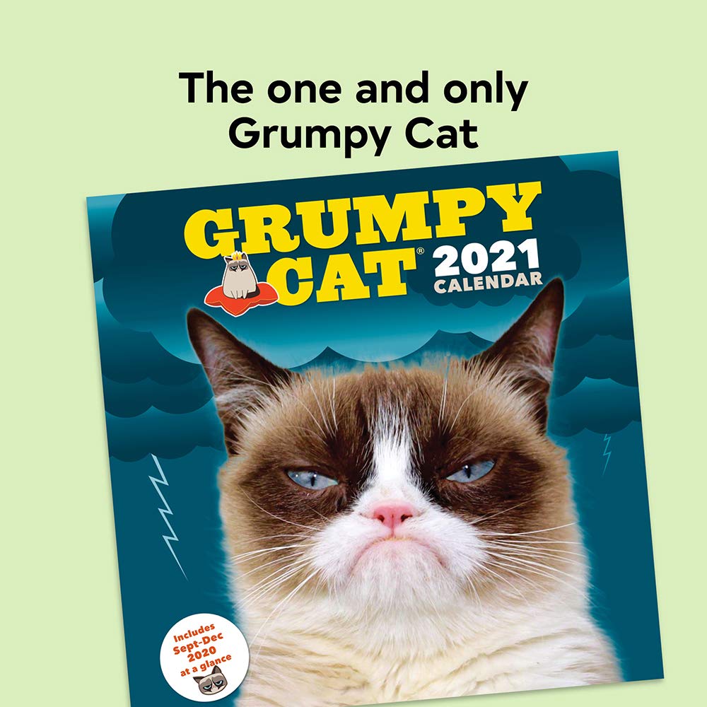 Grumpy Cat - 2021 Wall Calendar by Grumpy Cat | 9781452177359 | Booktopia