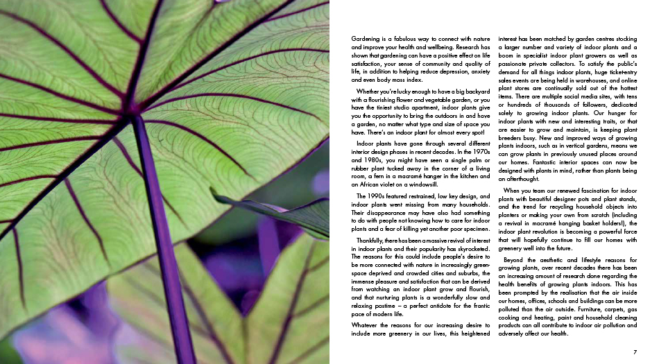 Yates Top 50 Indoor Plants And How Not To Kill Them! by Angie Thomas ...