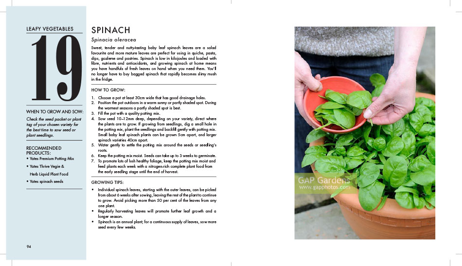 Yates Top 50 Edible Plants for Pots and How Not to Kill Them! by Yates ...