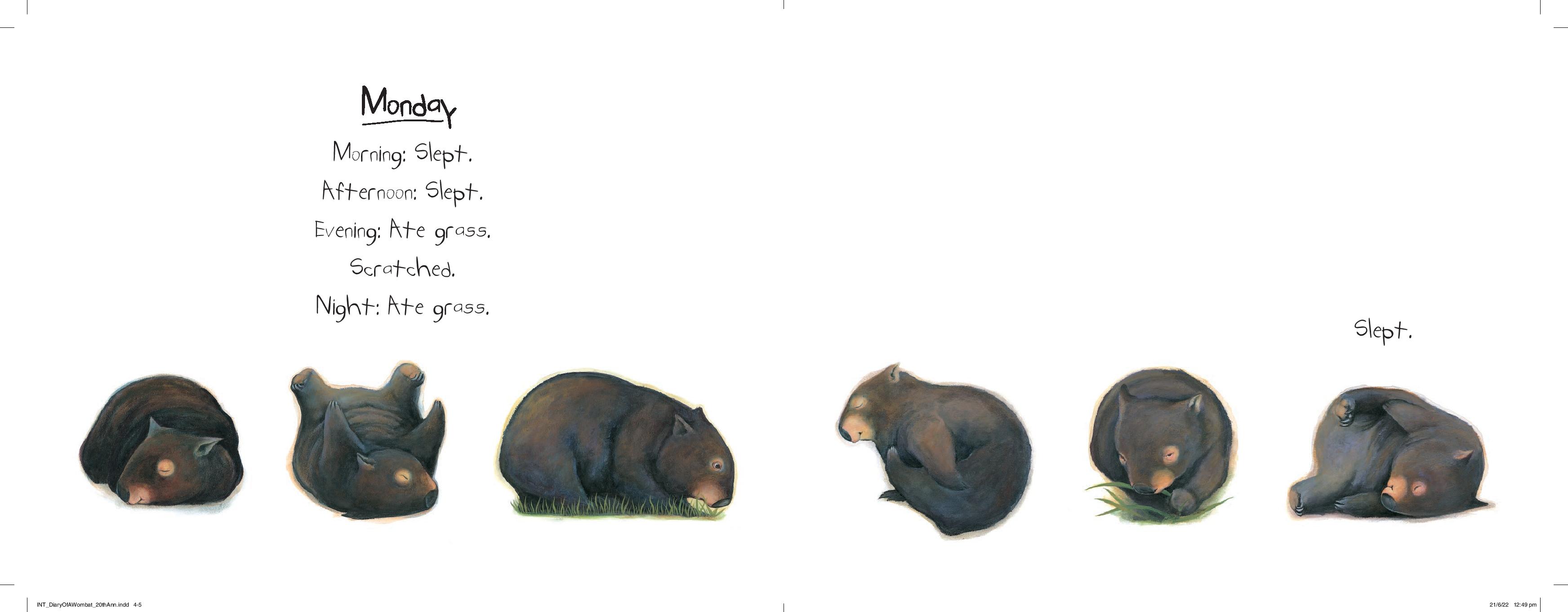 Diary of a Wombat 20th Anniversary Edition by Jackie French ...