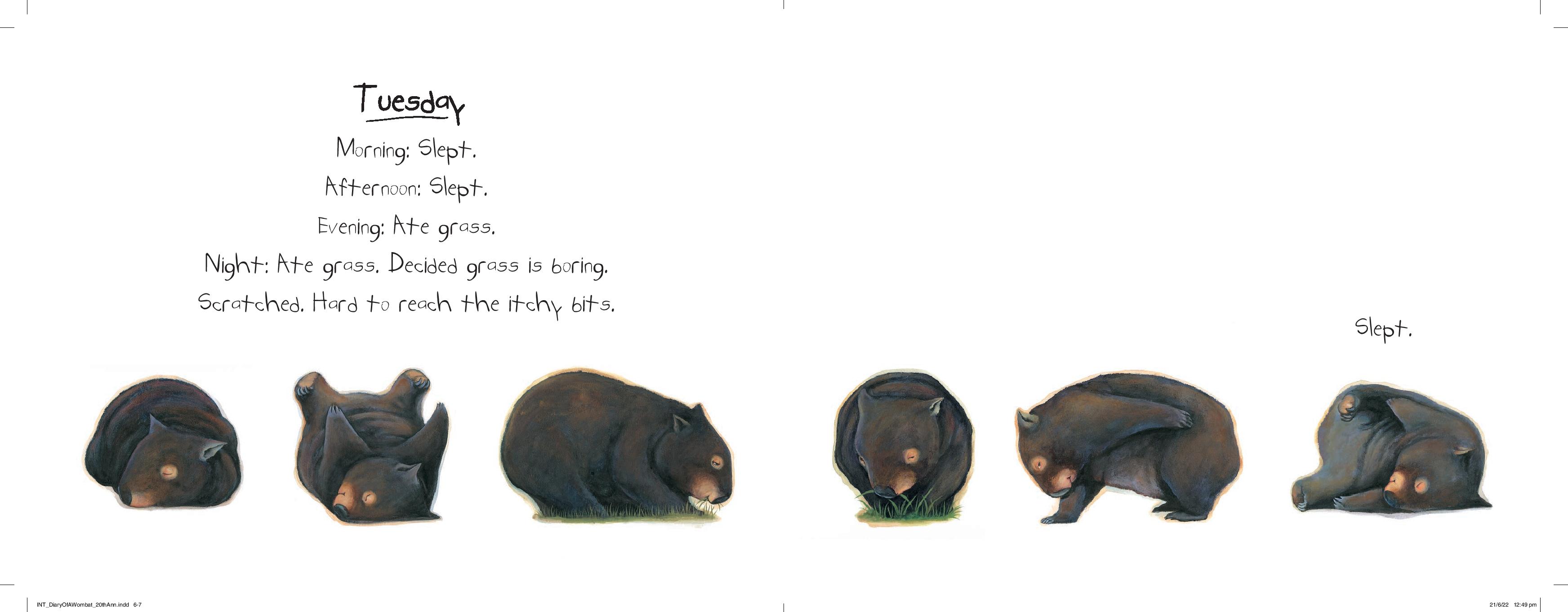 Diary of a Wombat 20th Anniversary Edition by Jackie French ...