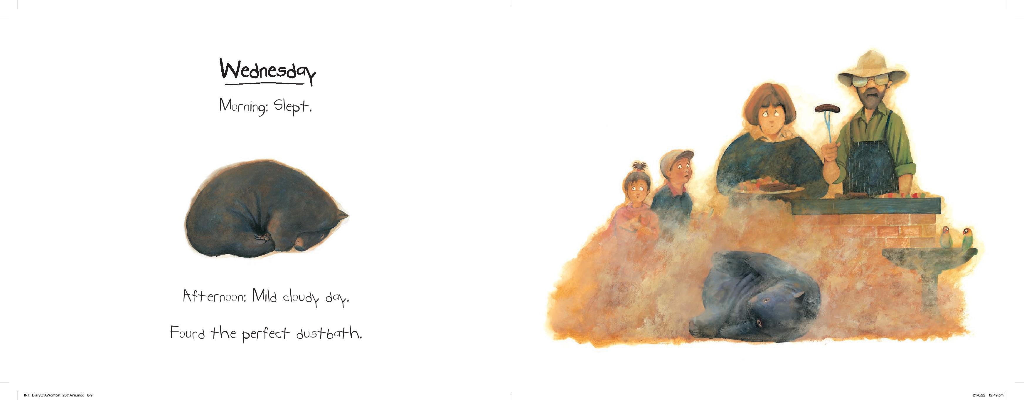 Diary of a Wombat 20th Anniversary Edition by Jackie French ...