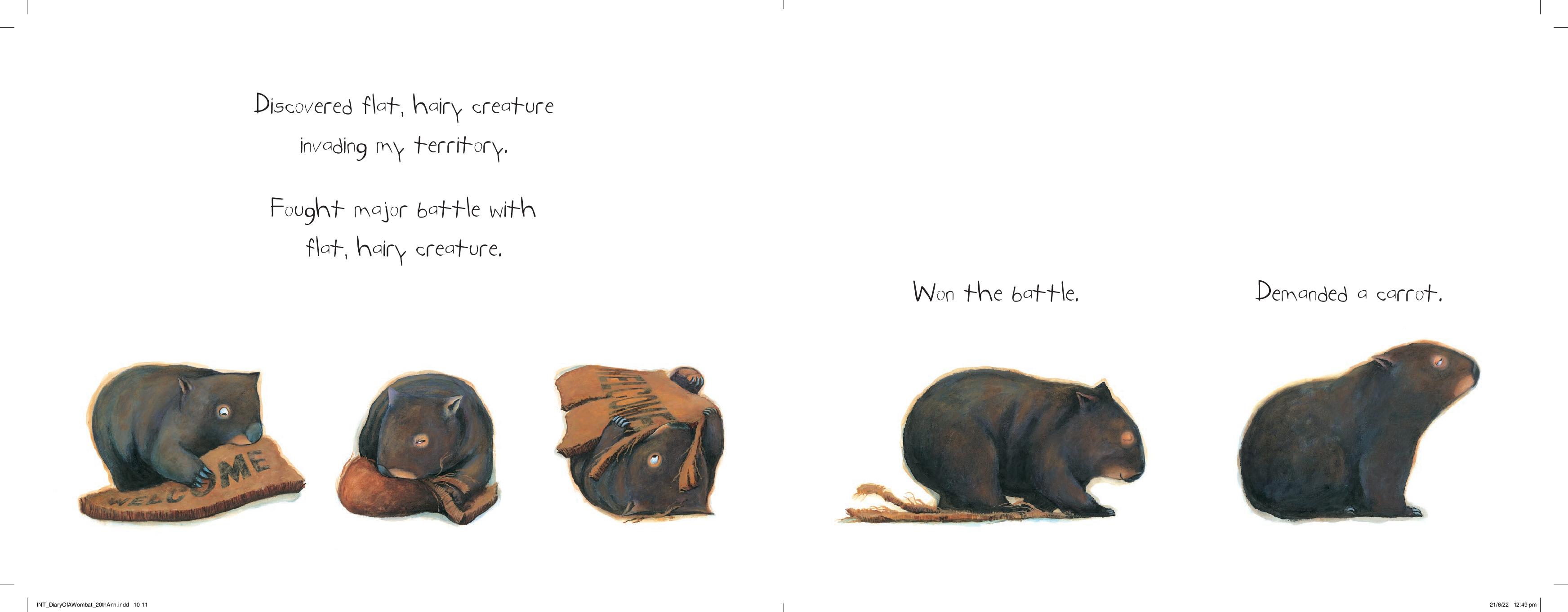Diary of a Wombat 20th Anniversary Edition by Jackie French ...
