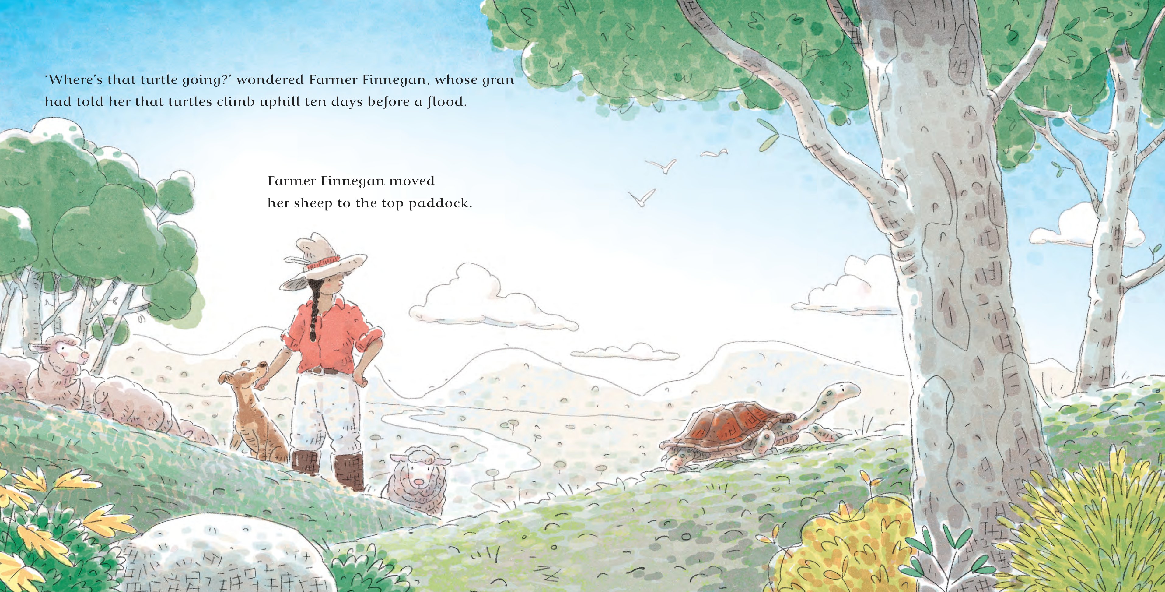 The Turtle and the Flood by Jackie French | 9781460762974 | Booktopia