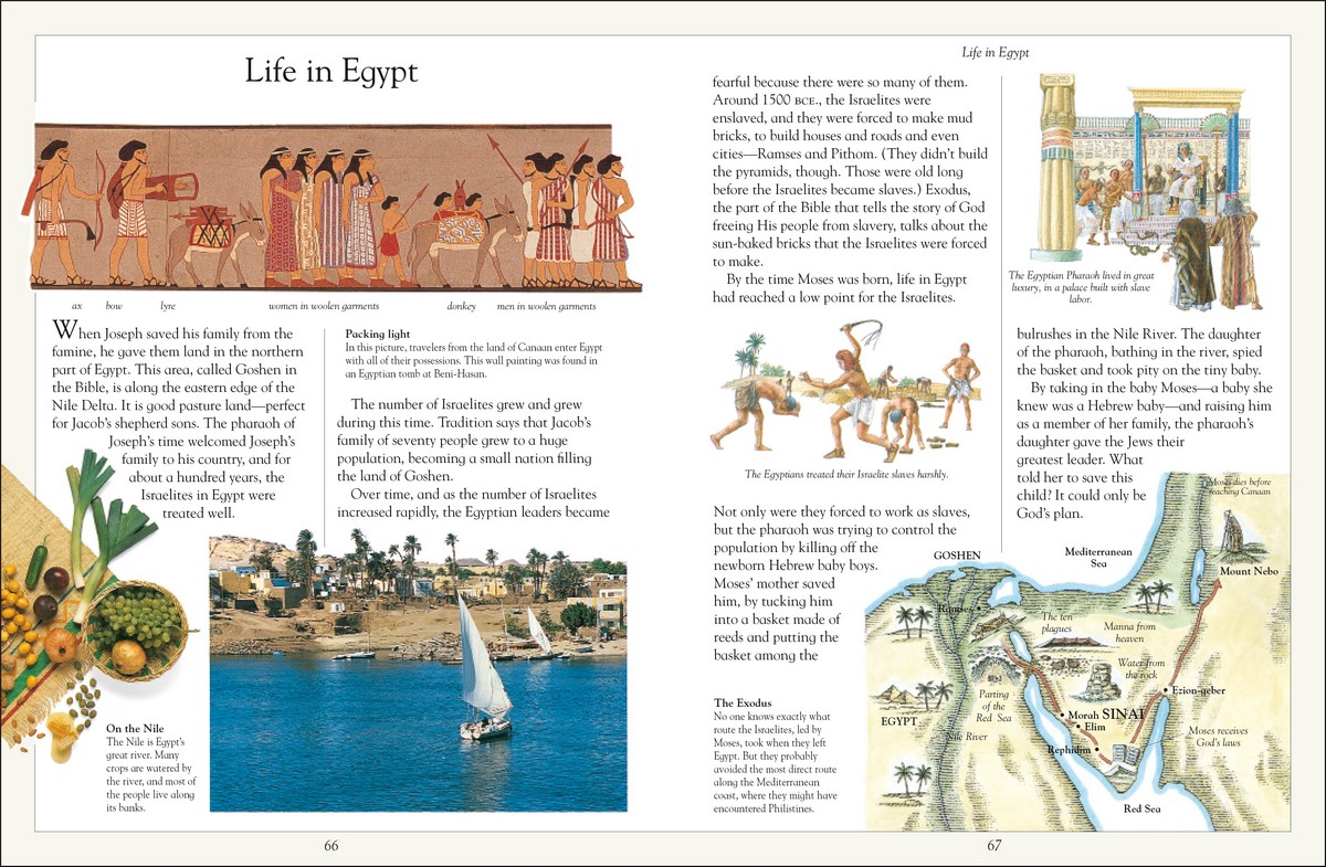 The Children's Illustrated Jewish Bible, DK Bibles and Bible Guides by ...