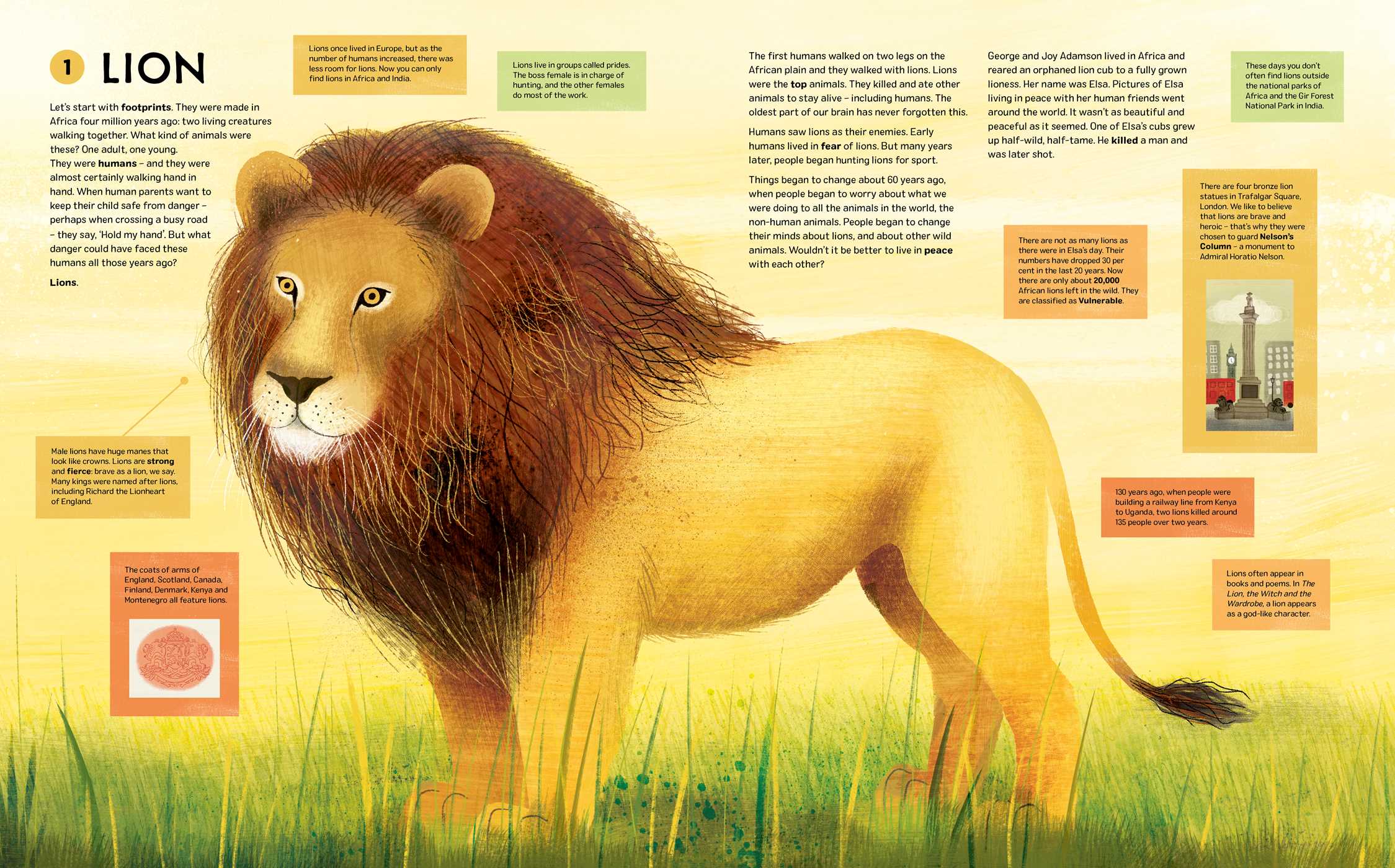 The History of the World in 100 Animals - Illustrated Edition by Simon ...