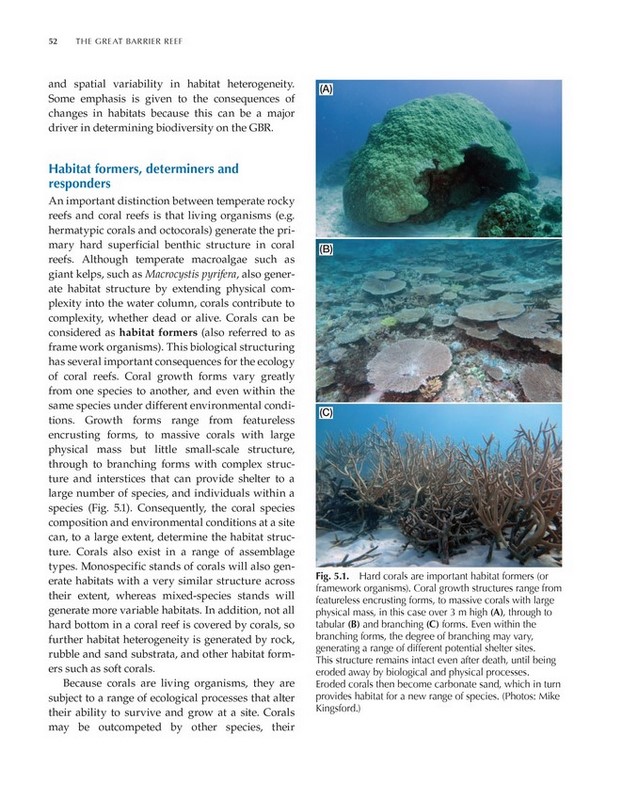 The Great Barrier Reef, Biology, Environment and Management by Pat ...