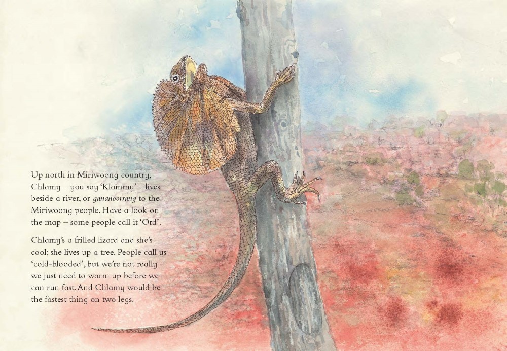 The Great Lizard Trek by Felicity Bradshaw | 9781486308828 | Booktopia