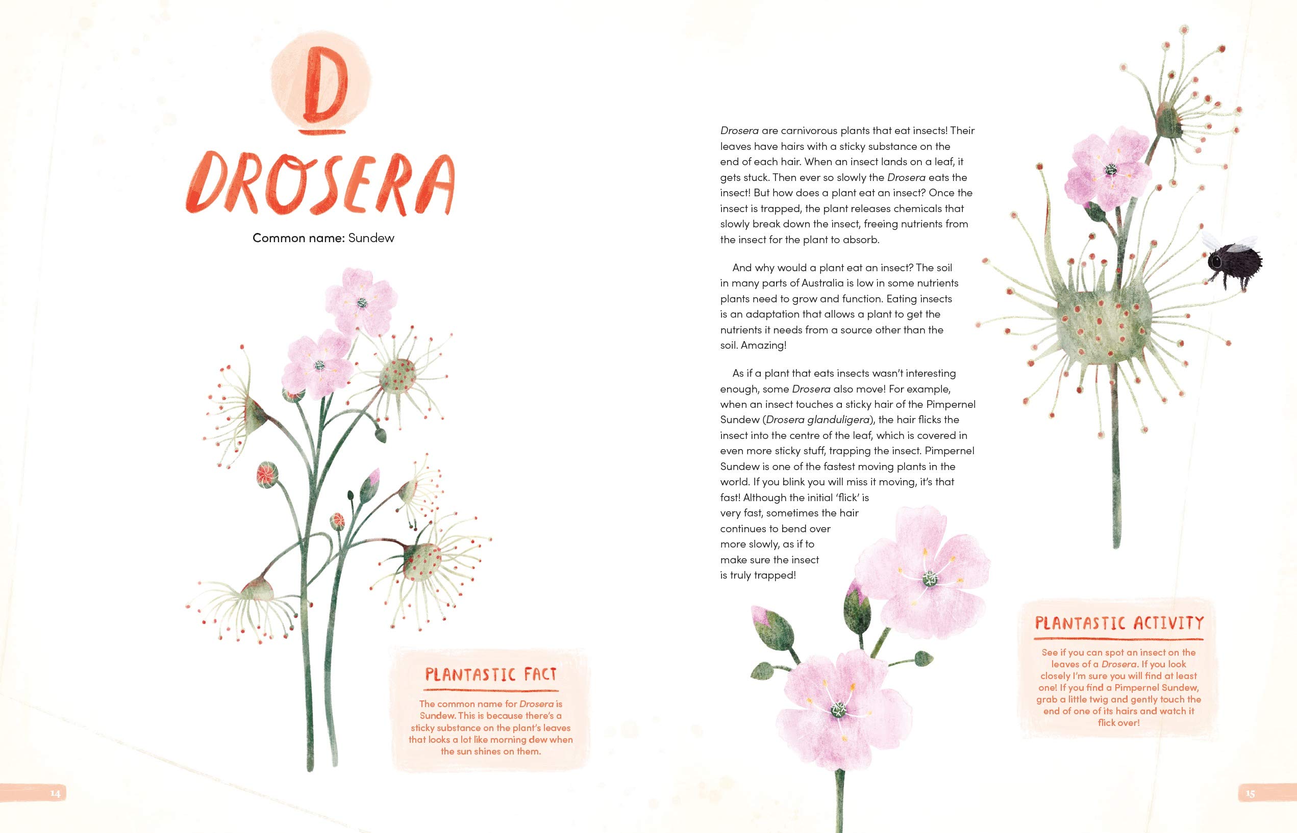 Plantastic!, A to Z of Australian Plants by Catherine Clowes ...