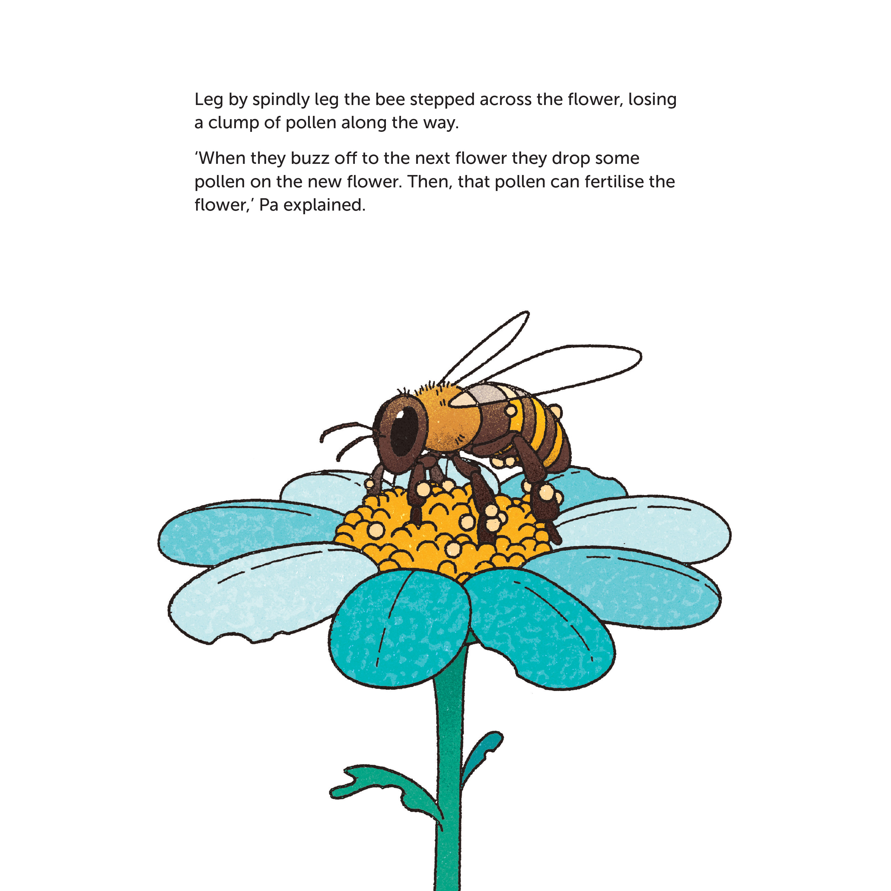 Pollination, How Does My Garden Grow? by Christopher Cheng ...