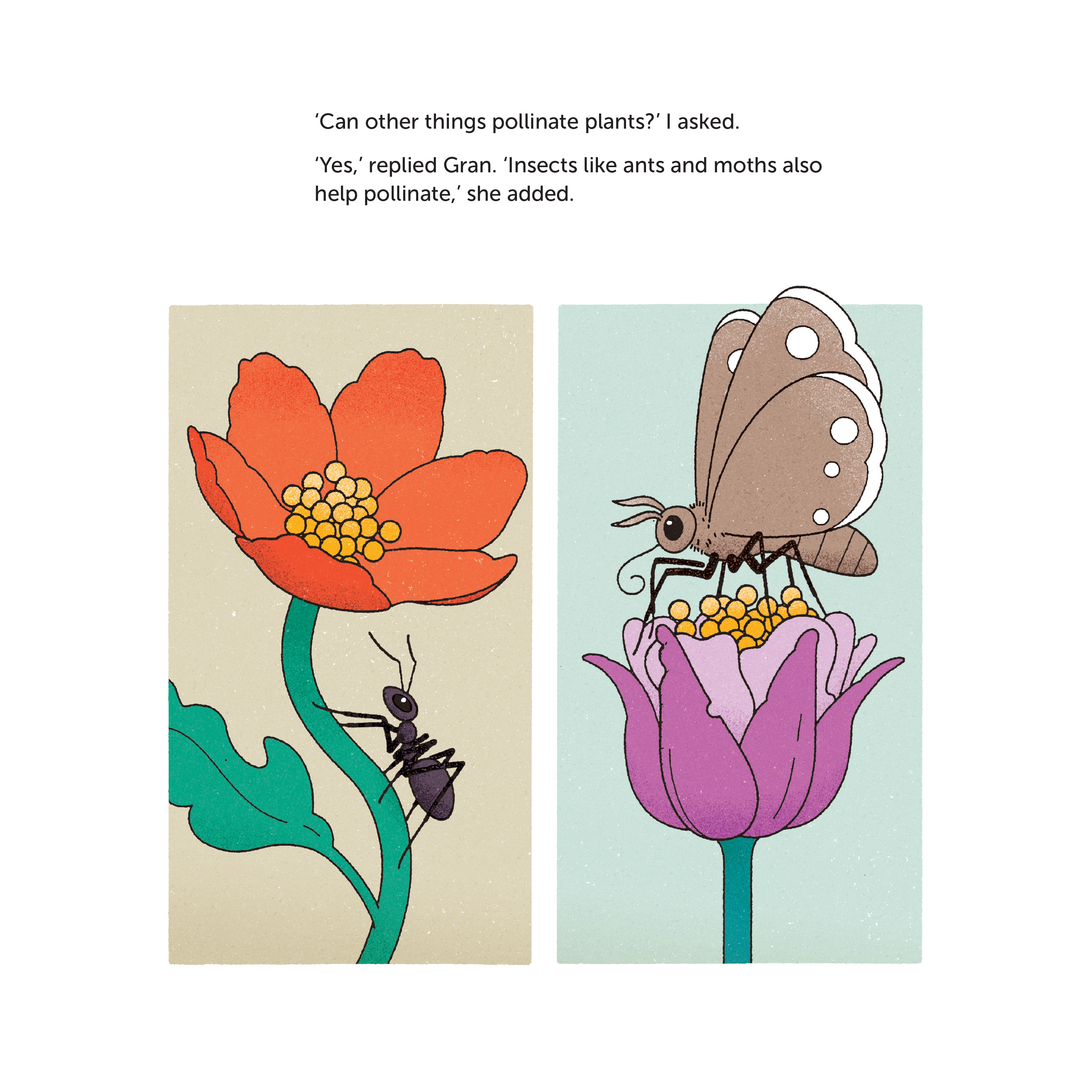 Pollination, How Does My Garden Grow? by Christopher Cheng ...