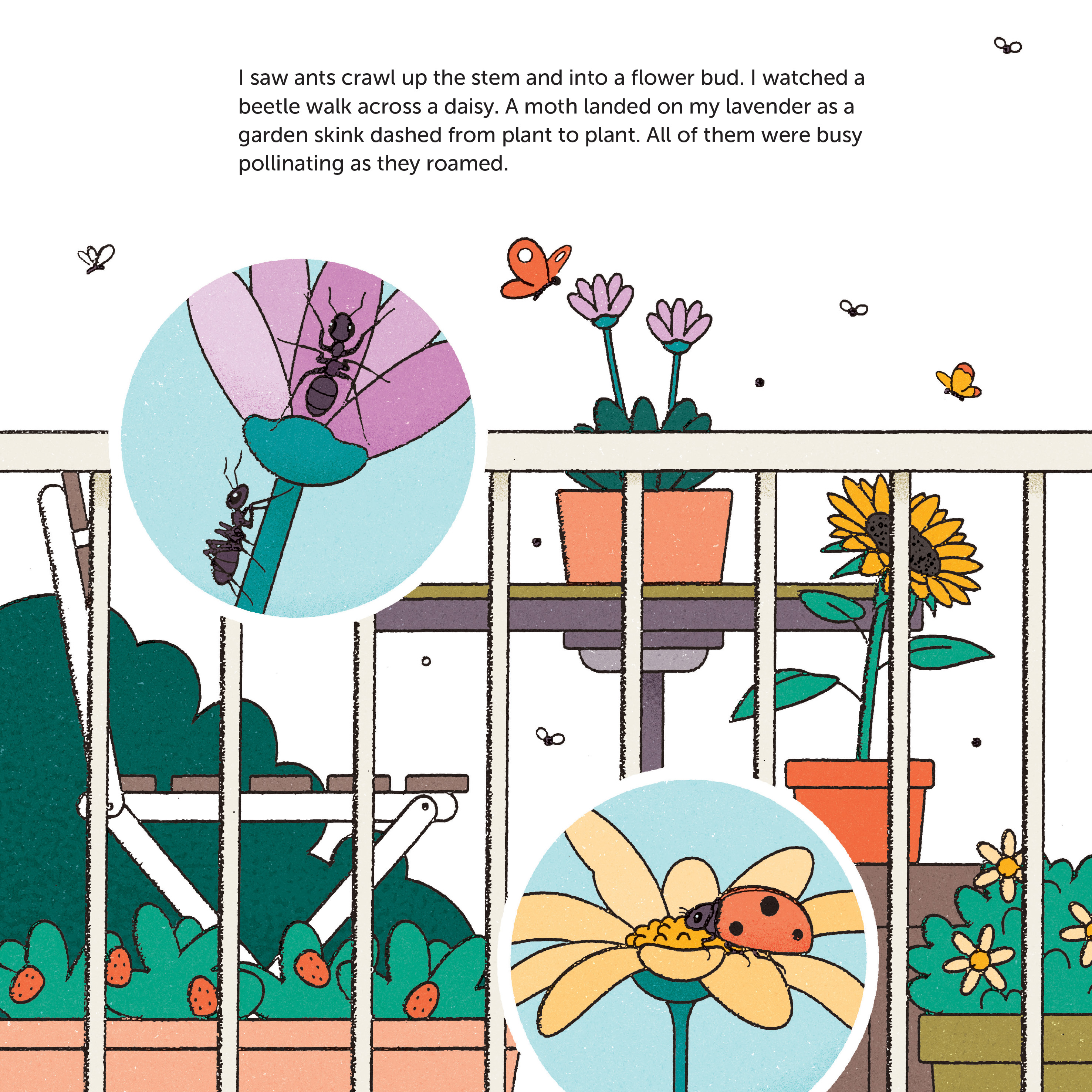 Pollination, How Does My Garden Grow? by Christopher Cheng ...