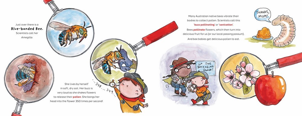 Bee Detectives by Vanessa Ryan-Rendall | 9781486313396 | Booktopia