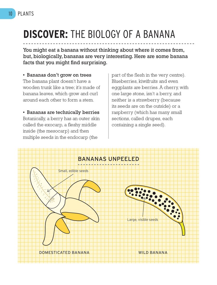 The Biology of Bananas, Discover and Learn with 21 Experiments by Katie ...