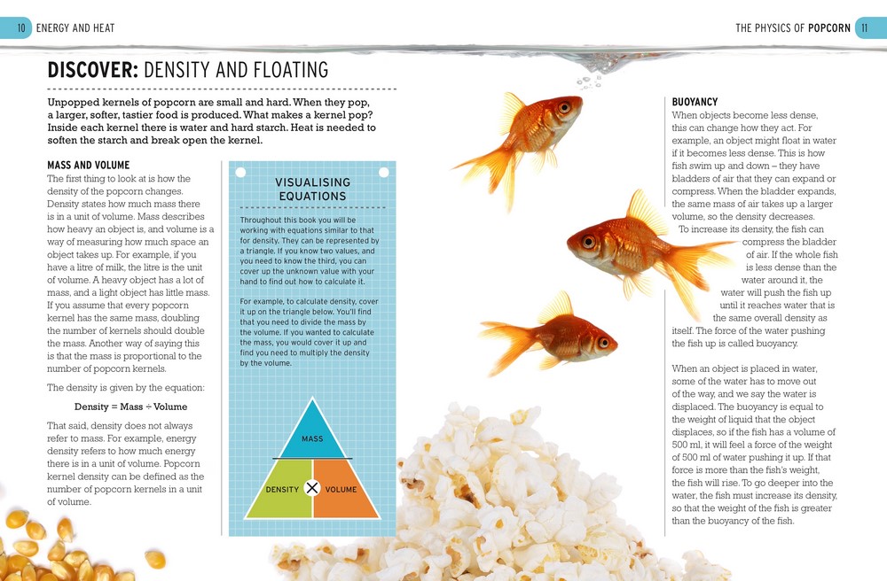 The Physics of Popcorn, Discover and Learn with 22 Experiments by Aidan ...