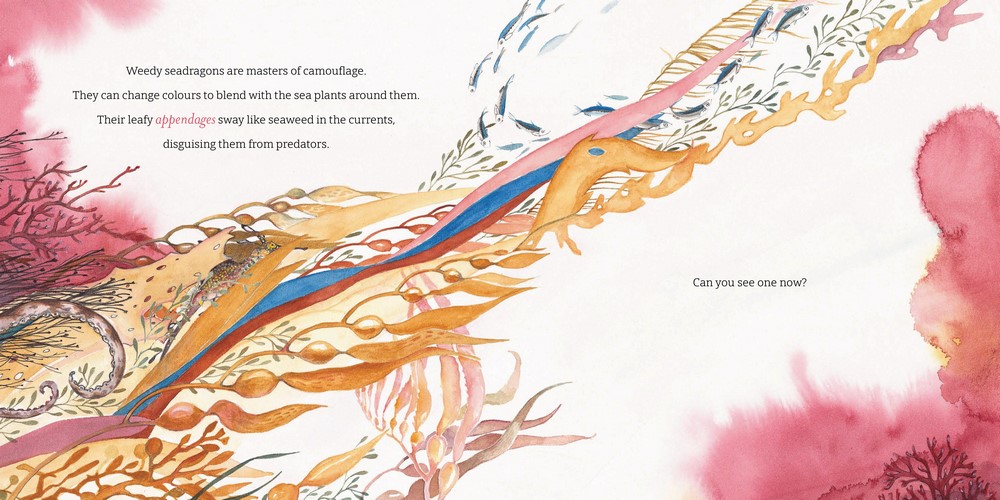 The Way of the Weedy Seadragon by Anne Morgan | 9781486313952 | Booktopia