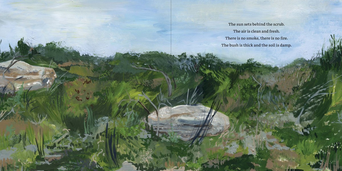 One Potoroo: A Story of Survival, CBCA's Notable Eve Pownall Award 2022 ...