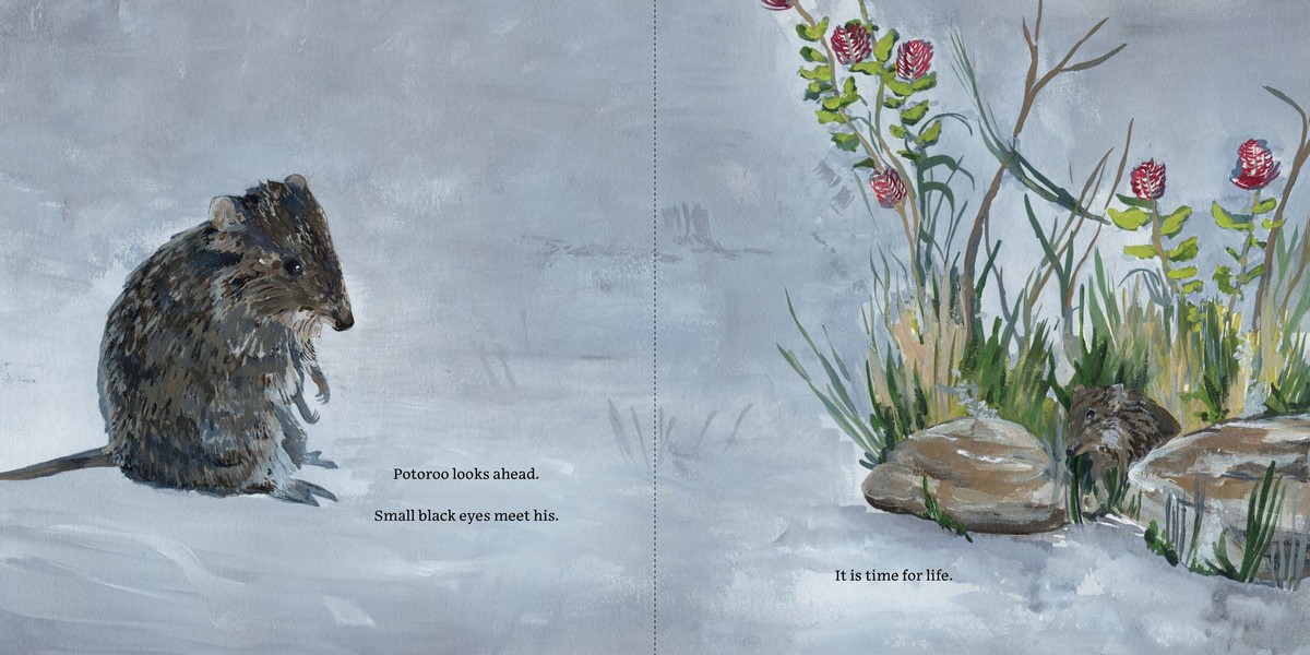 One Potoroo: A Story of Survival, CBCA's Notable Eve Pownall Award 2022 ...