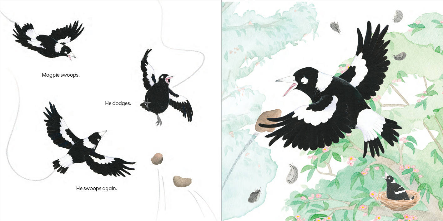 Swoop by Nicole Godwin | 9781486315697 | Booktopia