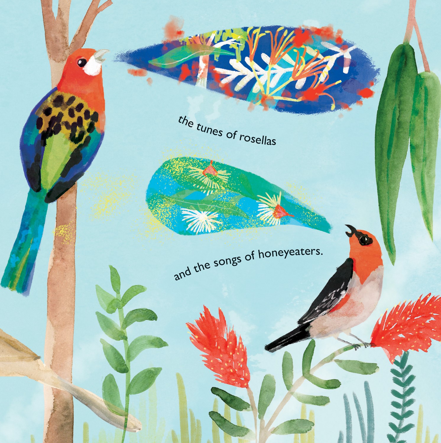 The Forgotten Song, Saving the Regent Honeyeater by Coral Vass ...